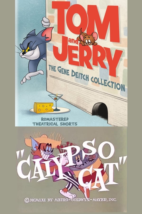 Tom and Jerry | Calypso Cat