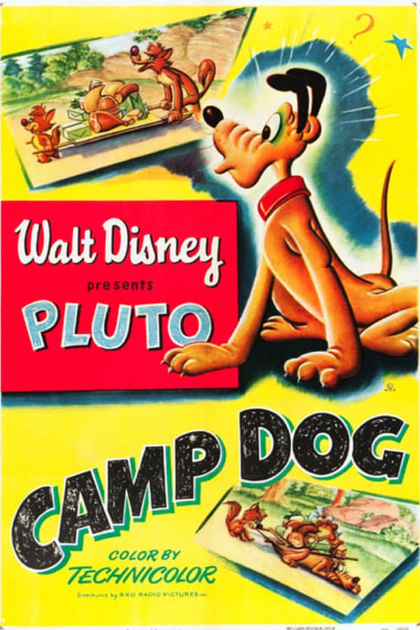 Disney | Camp Dog