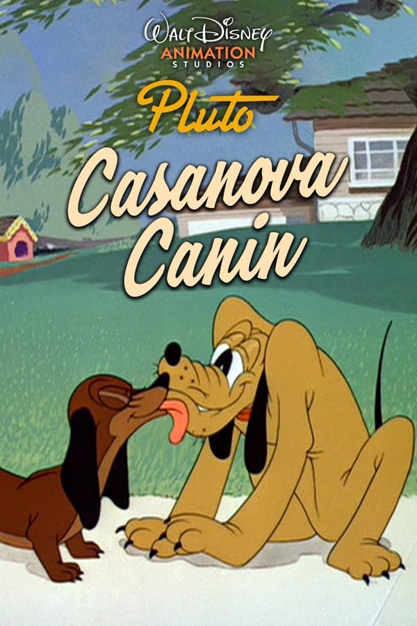 Disney | Canine Casanova