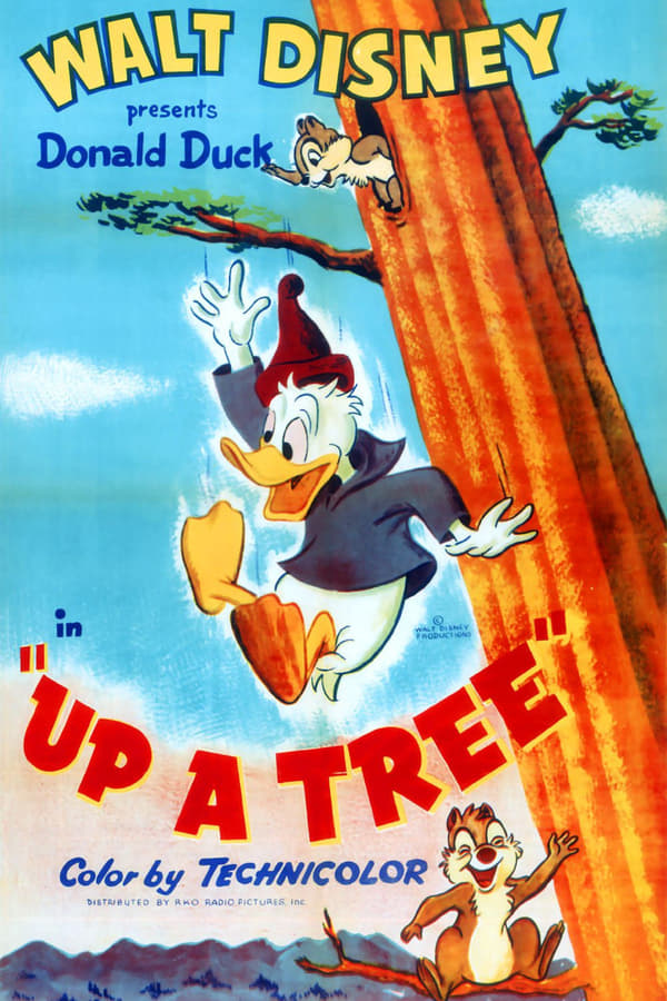 Disney | Up a Tree