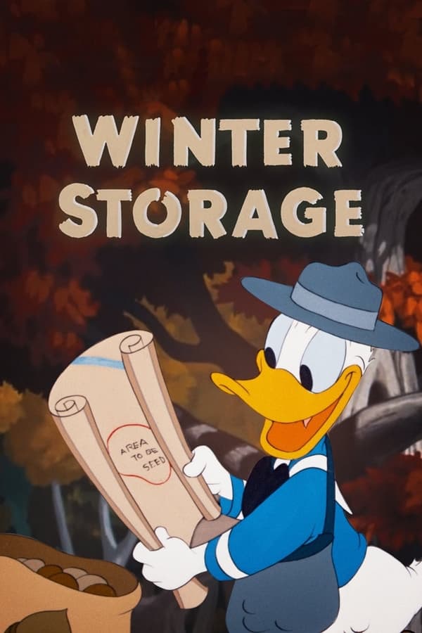 Disney | Winter Storage