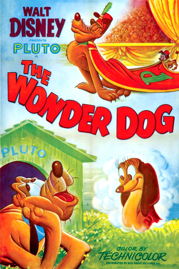 Disney | Wonder Dog